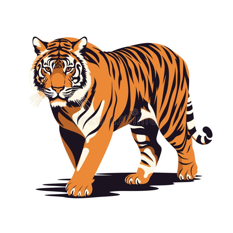 Vector Giant Tiger. Tiger Drawing Full Body Stock Image - Image of rose ...