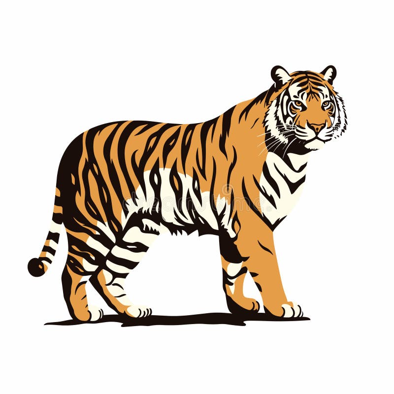 Vector Giant Tiger. Tiger Drawing Full Body Stock Image - Image of rose ...
