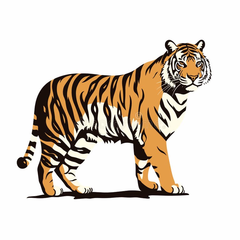 Vector Giant Tiger. Tiger Drawing Full Body Stock Vector - Illustration ...