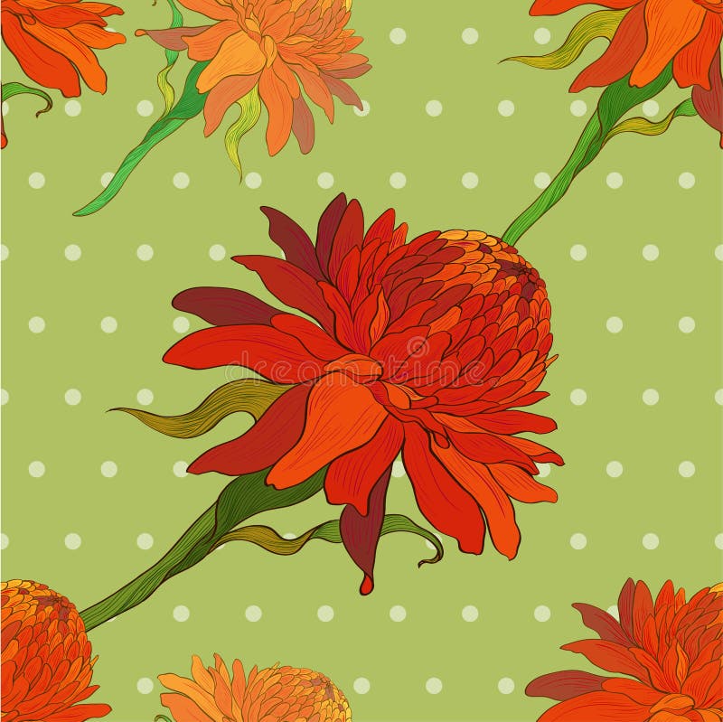 Vector. Ginger Flowers. Seamless Pattern. Stock Vector - Illustration ...