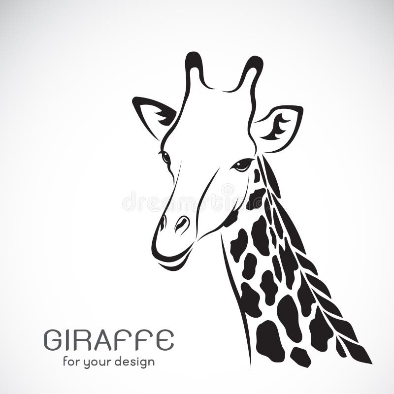 Giraffe Face Drawing Outline
