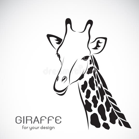 Giraffe Outline Stock Illustrations – 8,016 Giraffe Outline Stock ...