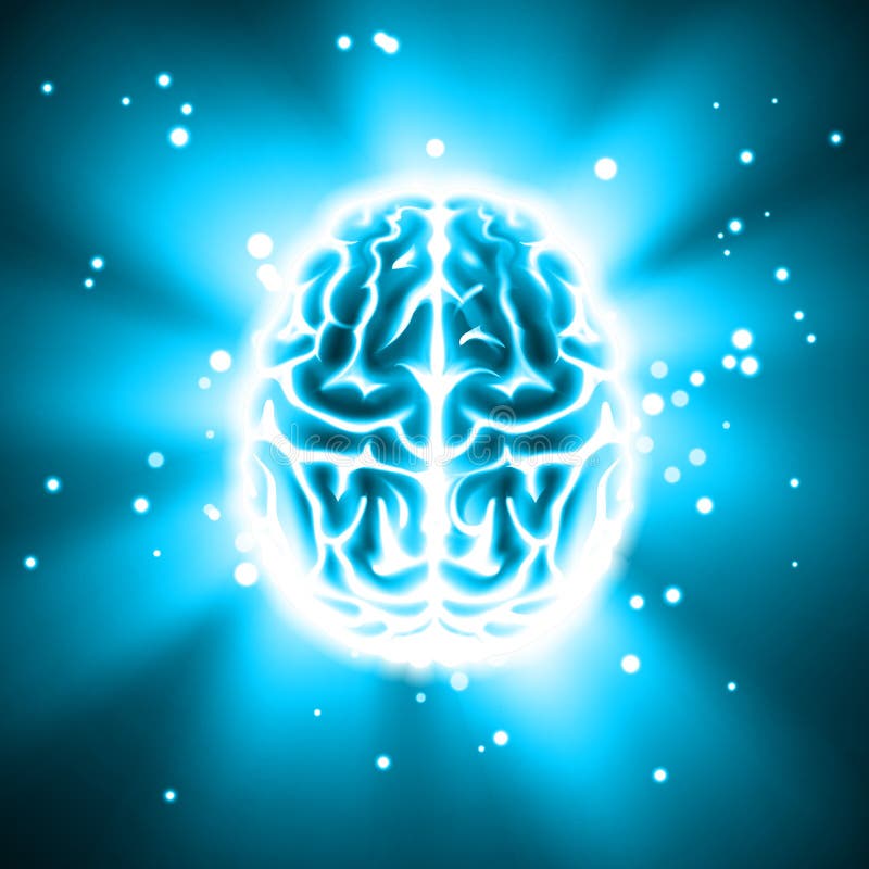 Glowing human brain stock vector. Illustration of cortex - 115717247