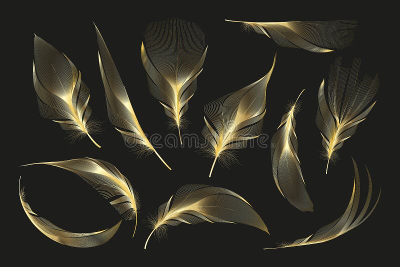 Vector Gold Feathers Collection. Falling Fluffy Twirled Feathers. Stock ...