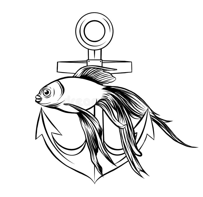 Carassius Auratus Stock Illustrations – 201 Carassius Auratus Stock ...