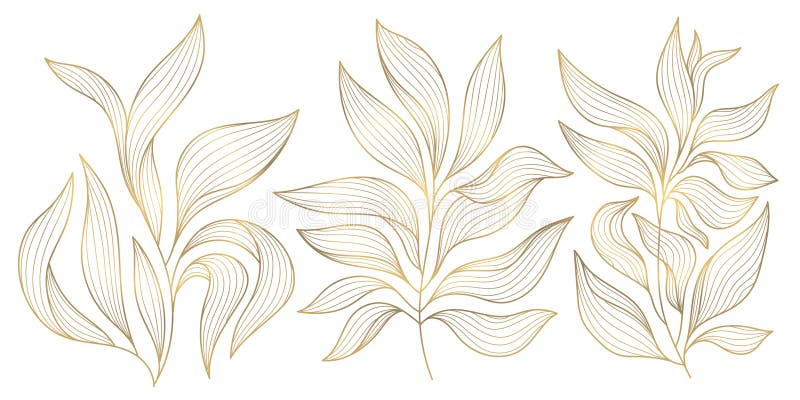 Vector Gold Leaves on White Background Isolated. Wavy Drawn Line ...