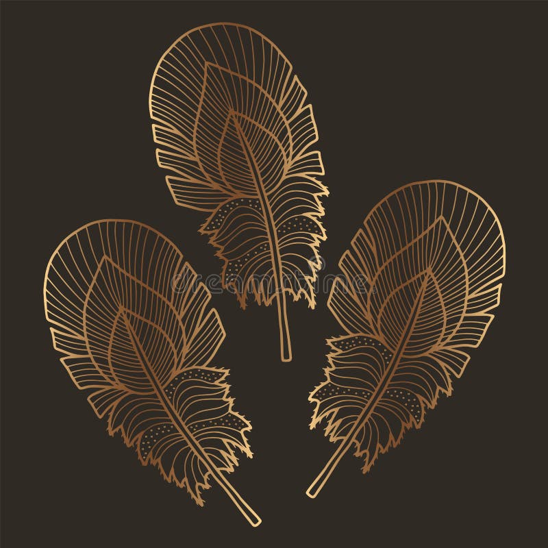 Vector Golden Feather. Hand Drawn Illustration. Stock Vector ...