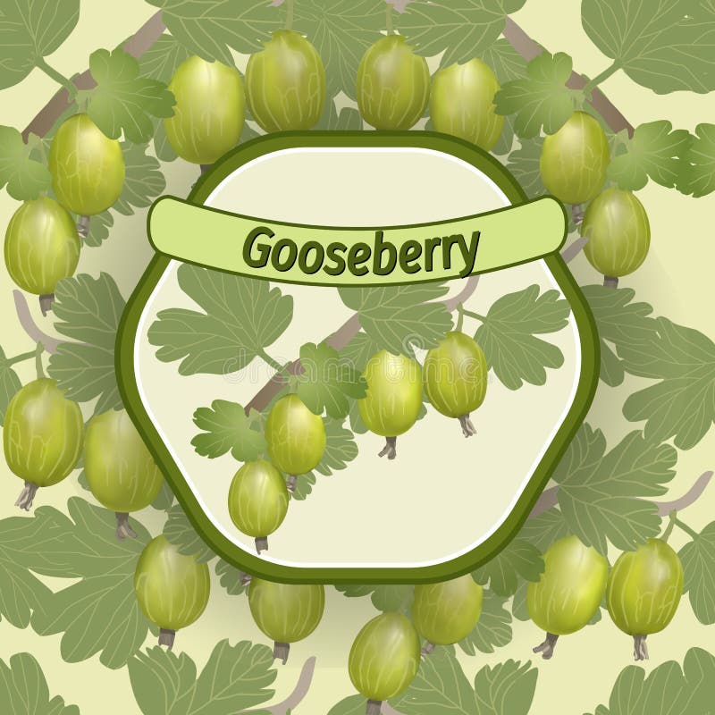 Vector gooseberry label stock illustration. Illustration of design ...