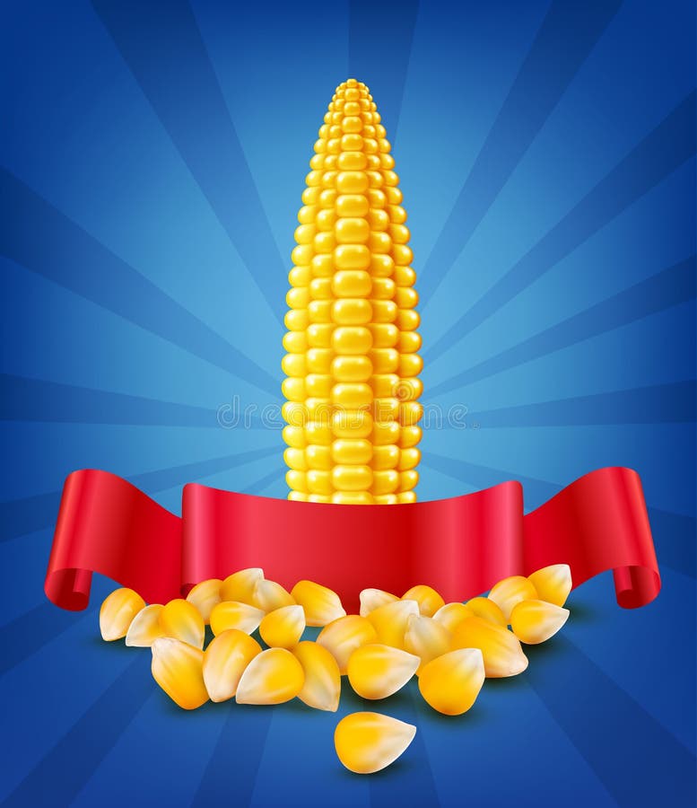 Maize Grains Stock Illustrations – 509 Maize Grains Stock Illustrations ...