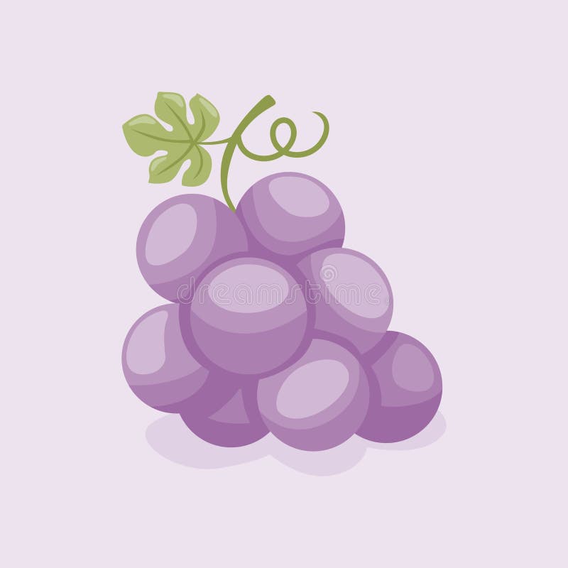 Vector Grape Illustration Fresh Fruit Hand Drawn Stock Illustration ...