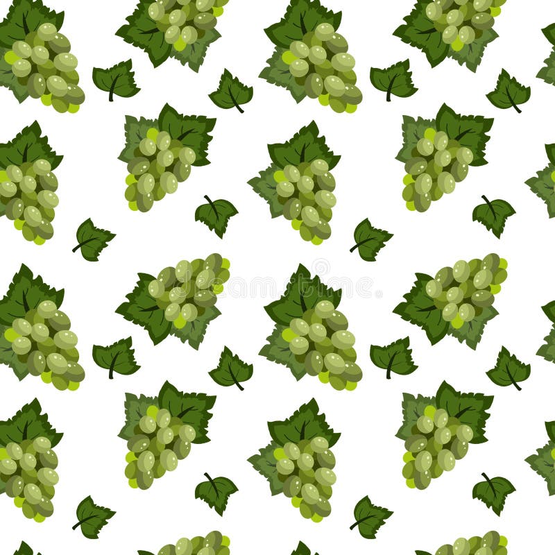 Vector Grape Twig Seamless Pattern Stock Vector - Illustration of drawing, gather: 273487270