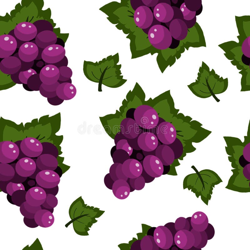 Vector Grape Seamless Pattern Stock Vector - Illustration of healthy ...