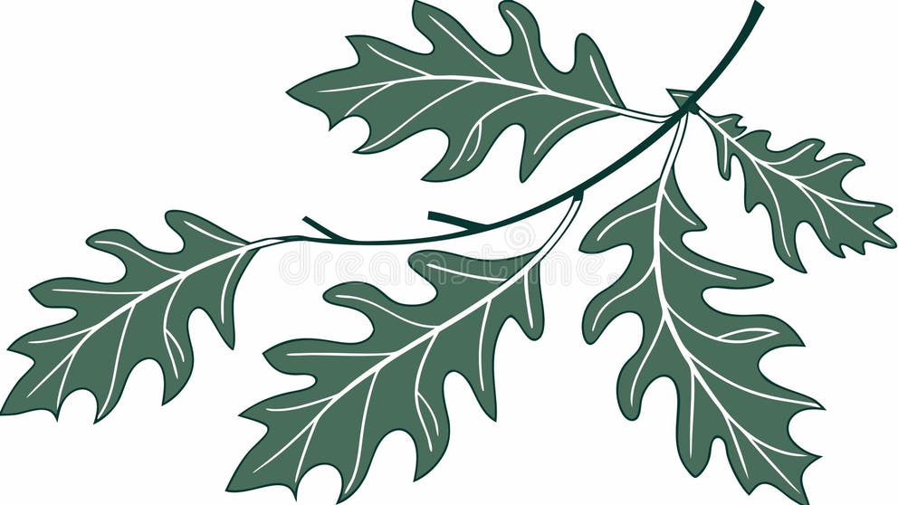 Oak Leaves Pattern Vector Graphic for Nature & Autumn, Vector Design ...