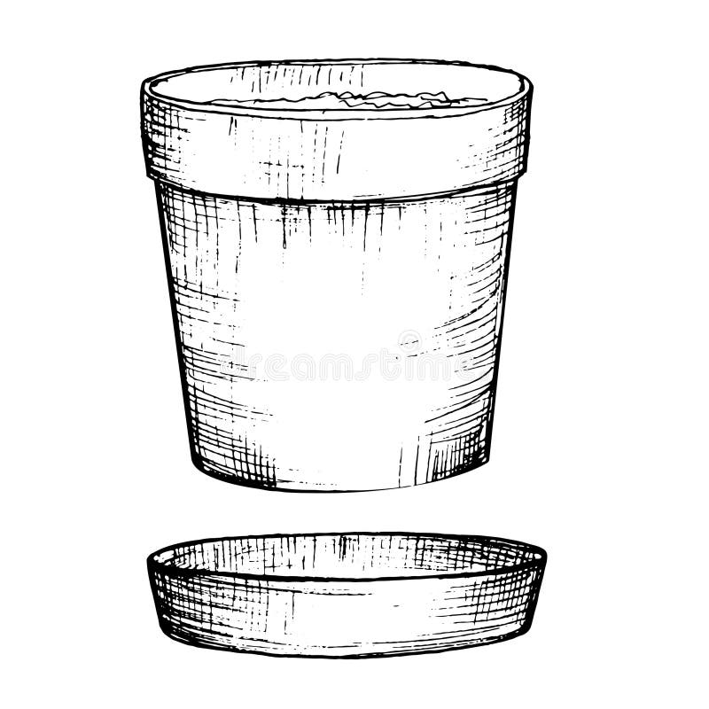 Vector Graphic Hand Drawn Drawing of Flower Pot Stock Vector ...