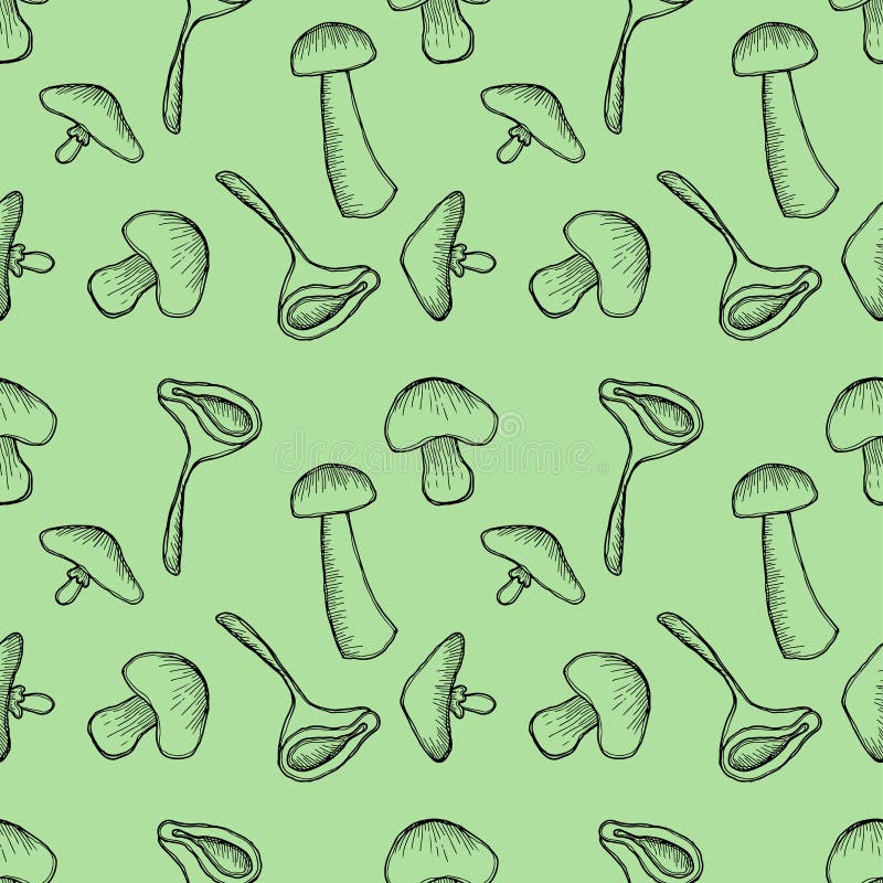 Dabchick Illustration Stock Illustrations – 254 Dabchick Illustration ...