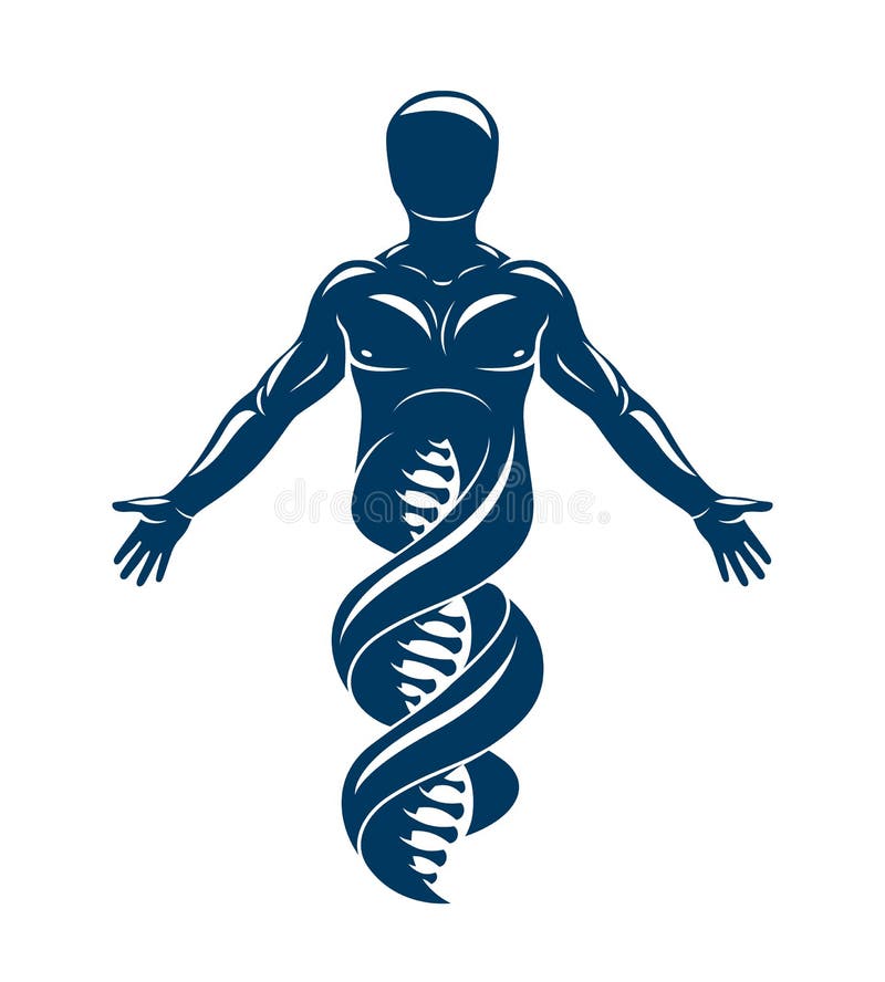 Vector Graphic Illustration of Strong Male Made As DNA Symbol Co Stock ...
