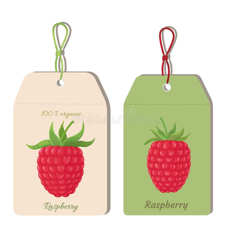 Raspberry Blossom Isolated Stock Illustrations – 454 Raspberry Blossom ...