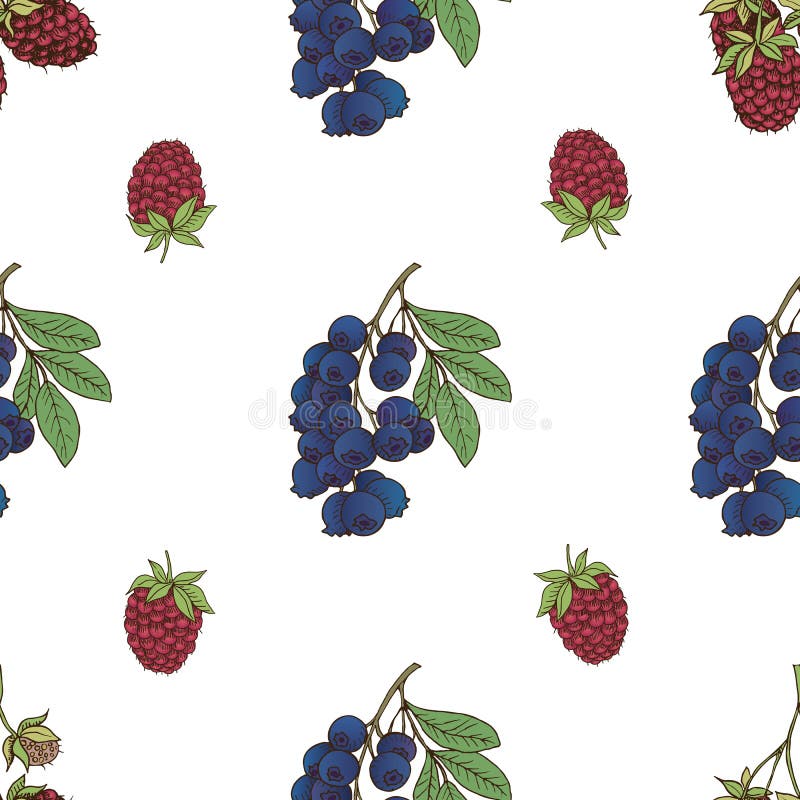 Vector Graphic Seamless Pattern with Blue Berry-04 Stock Vector ...