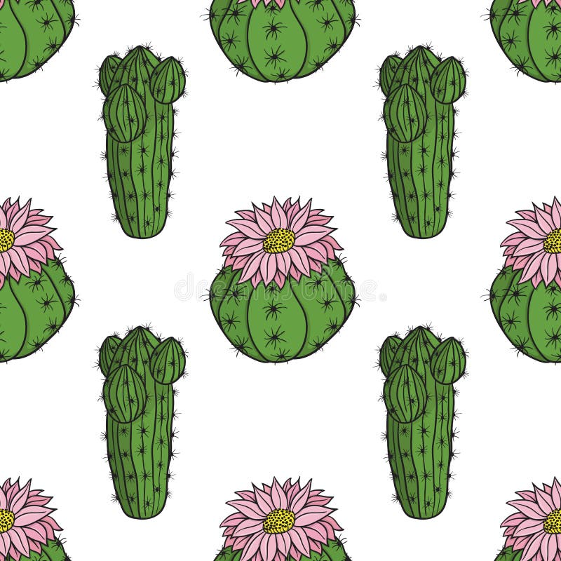Vector Graphic Seamless Pattern with Cactus Plants Stock Image - Image ...