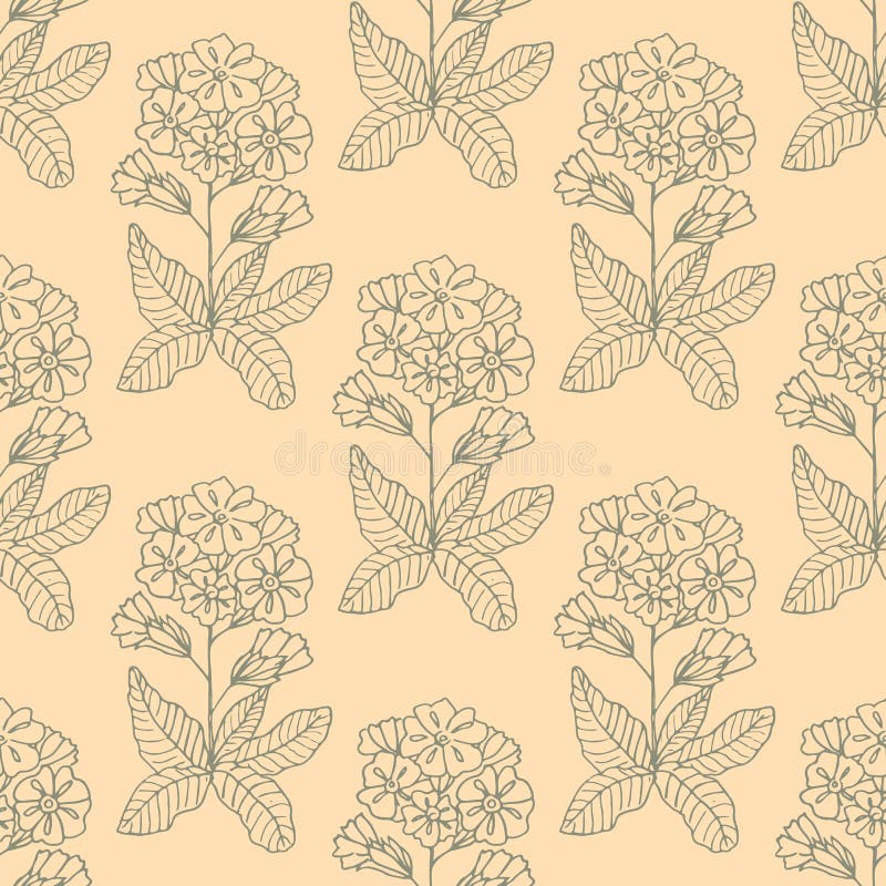 Vector Graphic Seamless Pattern with Primula Plant Stock Vector ...