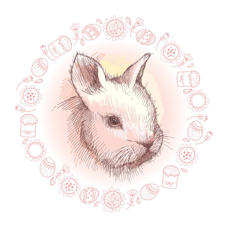 Rabbit Profile Drawing