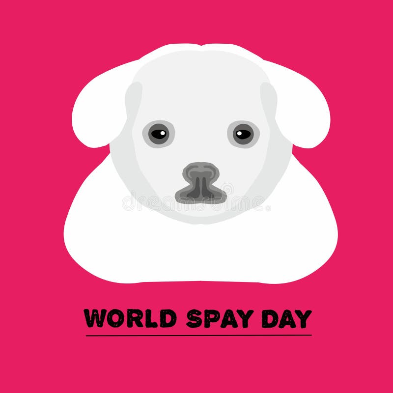 Copy Spay Stock Illustrations – 43 Copy Spay Stock Illustrations ...