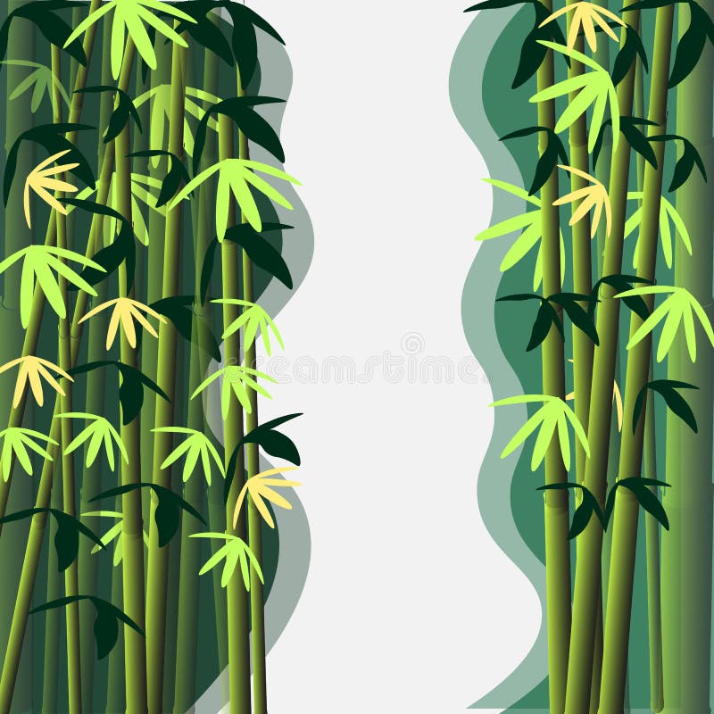 There are Thickets of Bamboo on Both Sides. in the Middle There is a ...