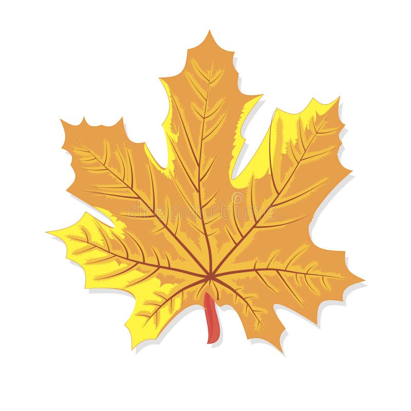 Vector Graphics Clipart Yellow Maple Leaf Stock Vector - Illustration ...
