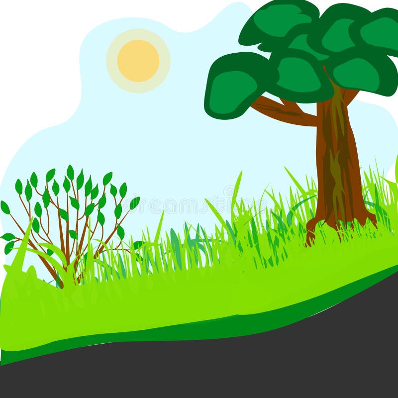 .Ecosystem.Soil on Which Grass, Bush and Tree Grows Stock Vector ...