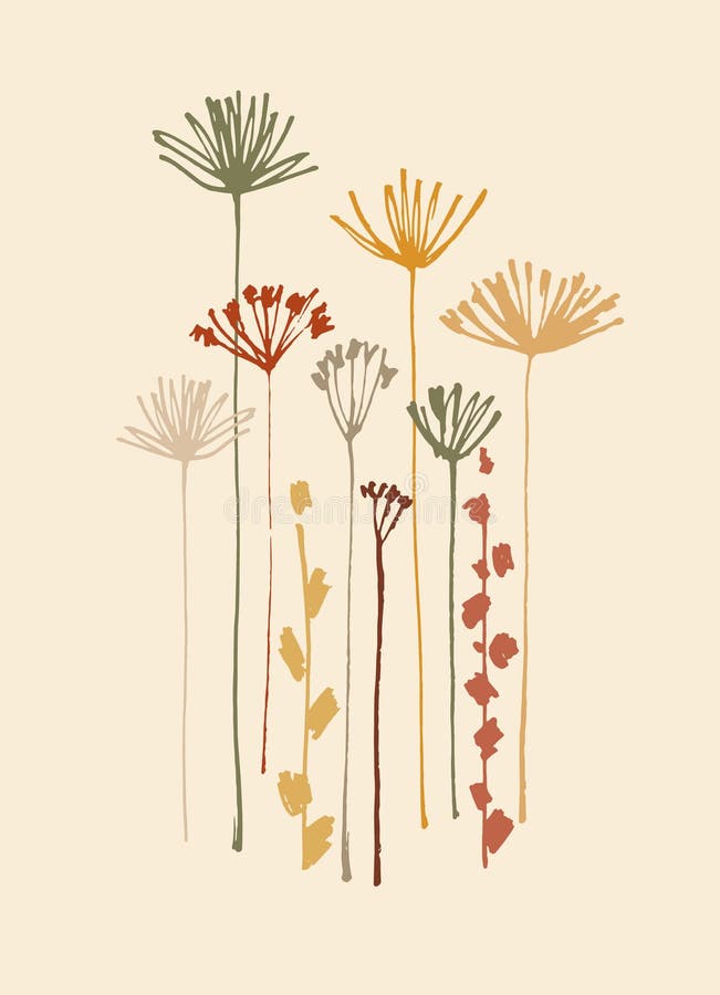 Vector Graphics with Hand Drawn Apiaceae Flowering Plants. Decor ...