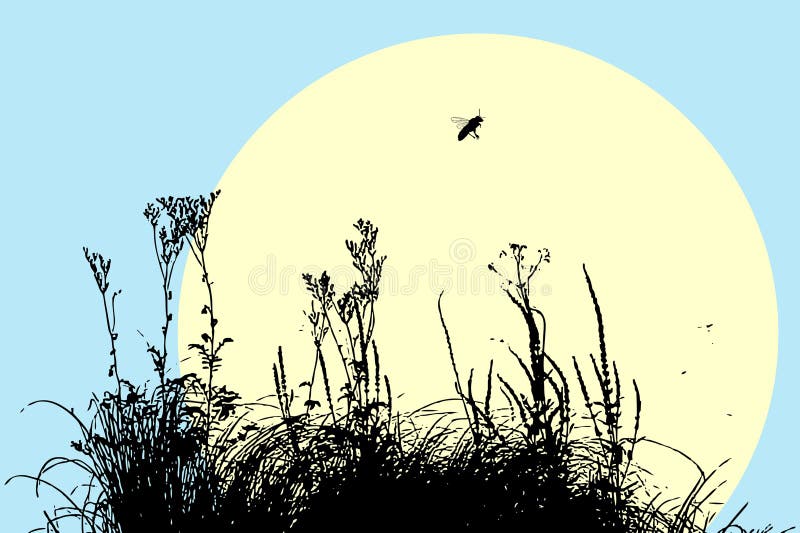 Vector Grass Silhouettes Backgrounds and Flying Bee Stock Vector ...