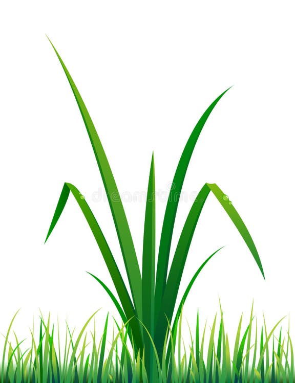 Water Plot Stock Illustrations – 1,462 Water Plot Stock Illustrations ...