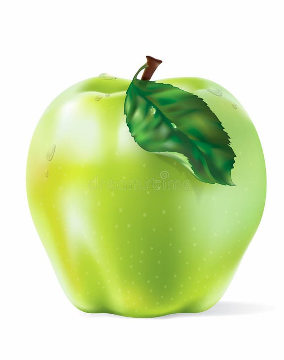 Vector Green Apple with Drops Isolated Stock Vector - Illustration of ...