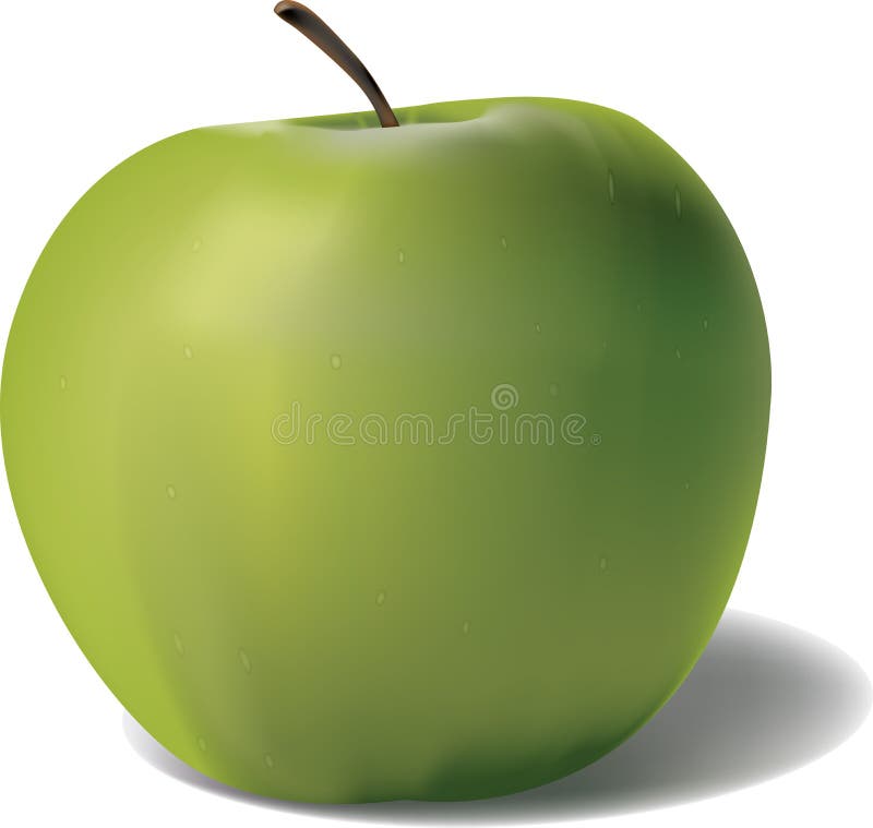 Vector Green Apple stock vector. Illustration of sour - 74657560