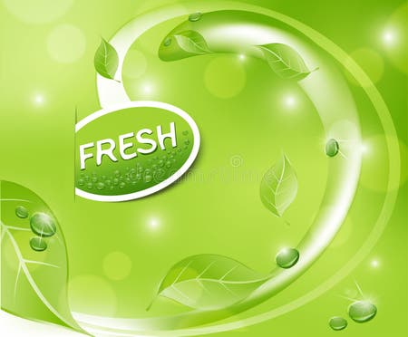 Vector Green Fresh Background with Leaves Stock Vector - Illustration ...