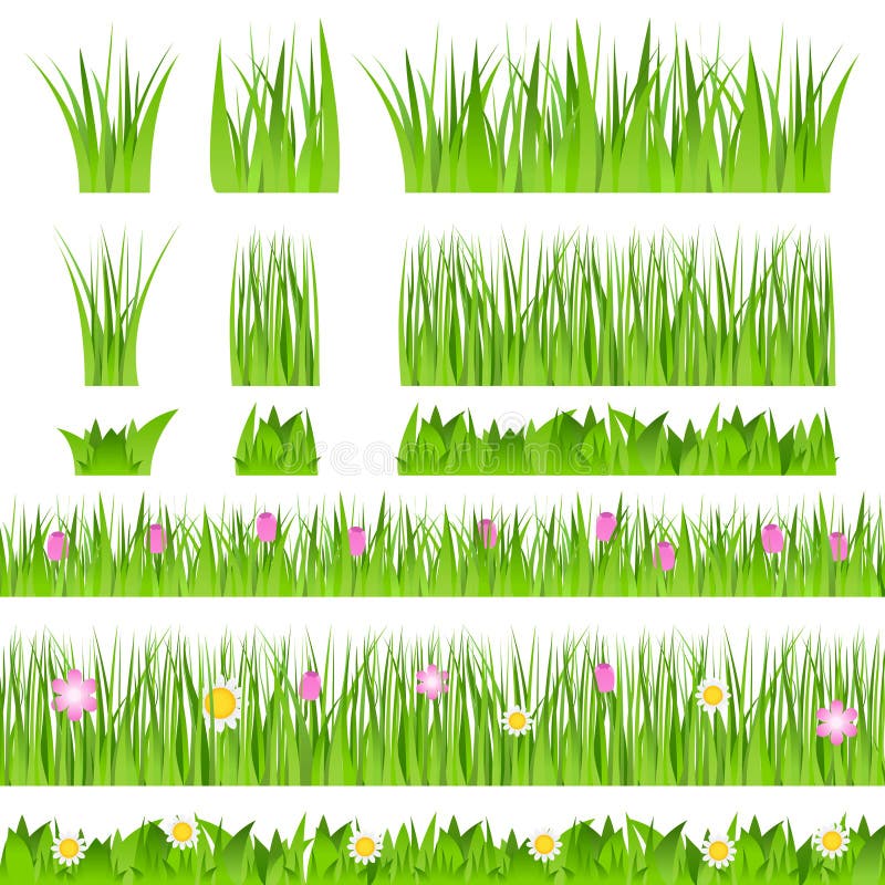 Vector grass stock vector. Illustration of botany, freshness - 10483856