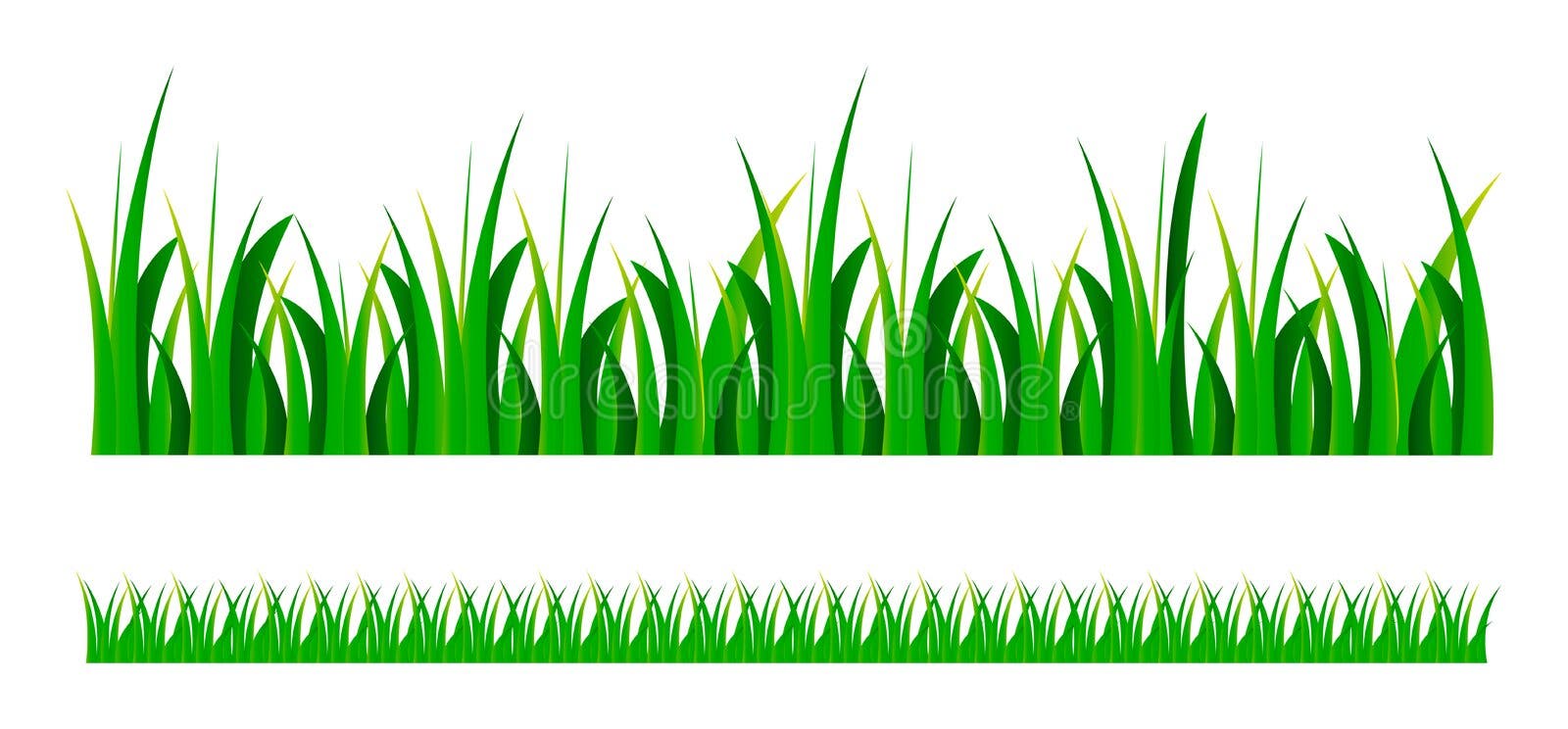 Grass stock vector. Illustration of green, summer, grass - 13497044