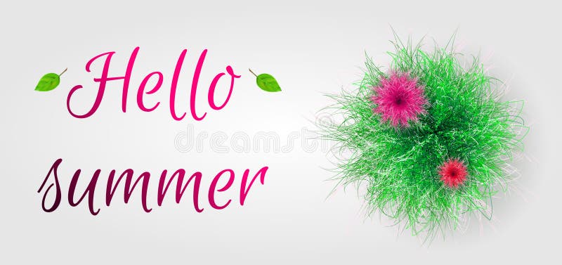 Vector Green Grass. Hello Summer Banner Stock Vector - Illustration of ...