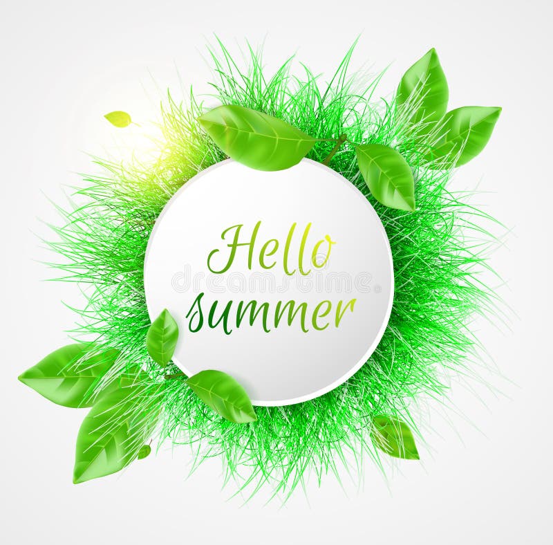 Vector Green Grass. Hello Summer Banner Stock Vector - Illustration of ...