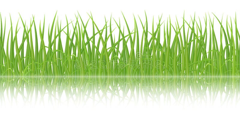 Vector green grass stock vector. Illustration of rural - 91709091