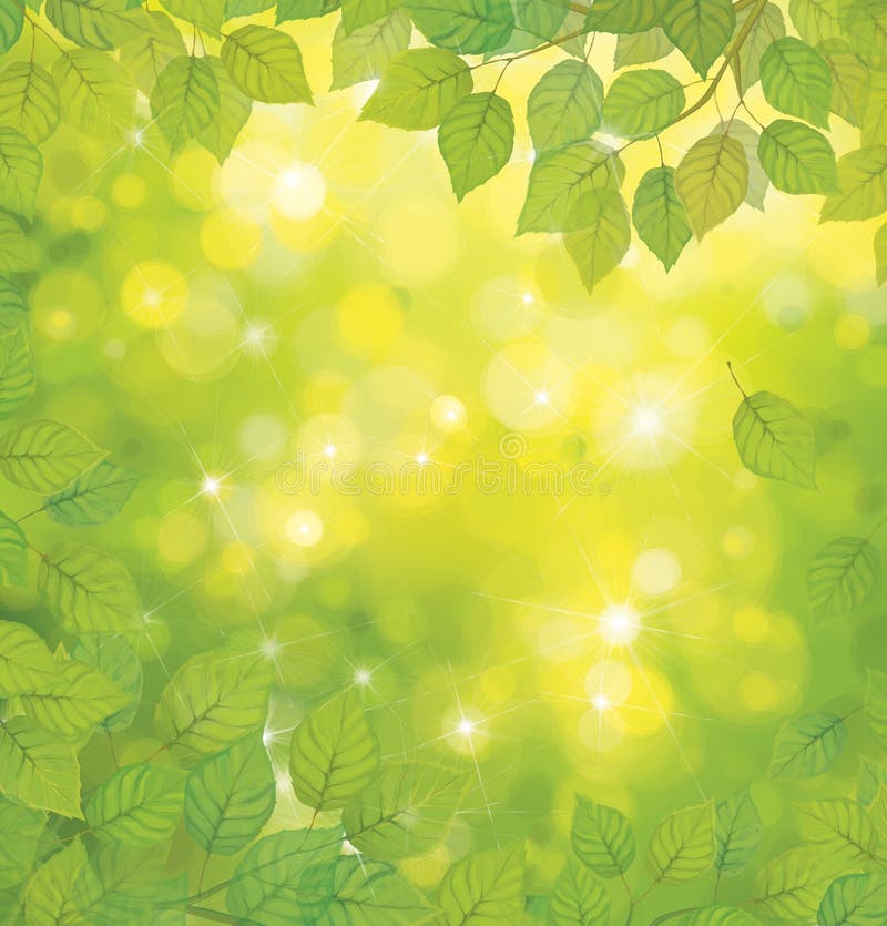 Vector Sunshine Background with Colorful Flowers. Stock Vector ...