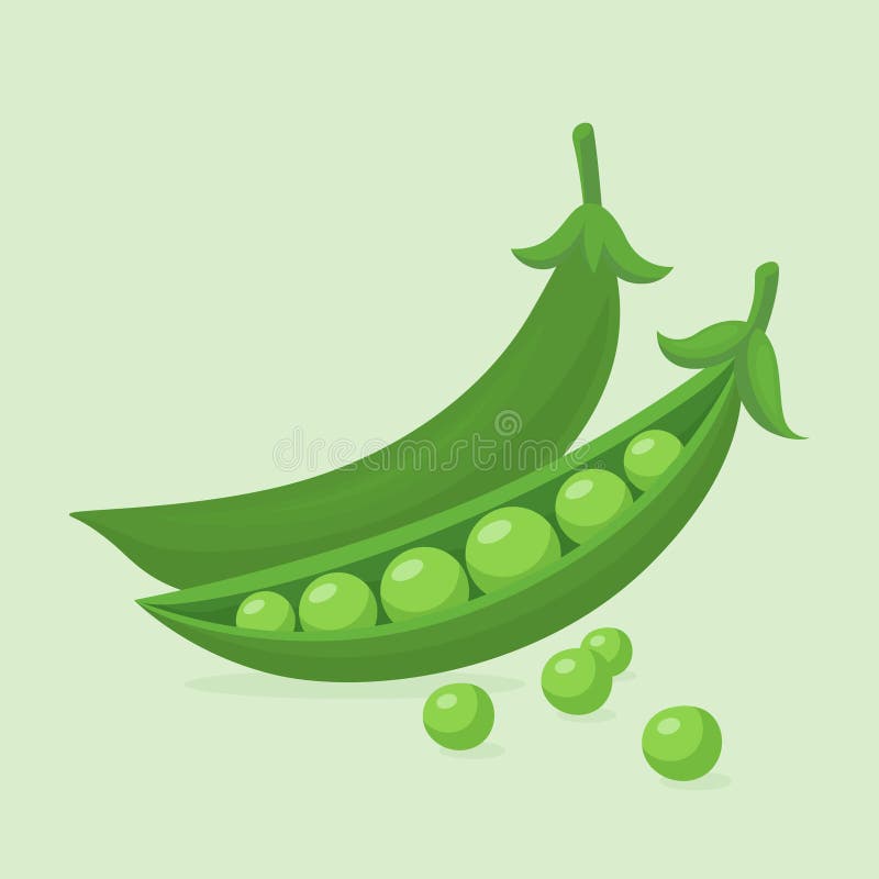 Vector Green Pea Pod. Green Peas Design Template, Cartoon Flat Peas ...