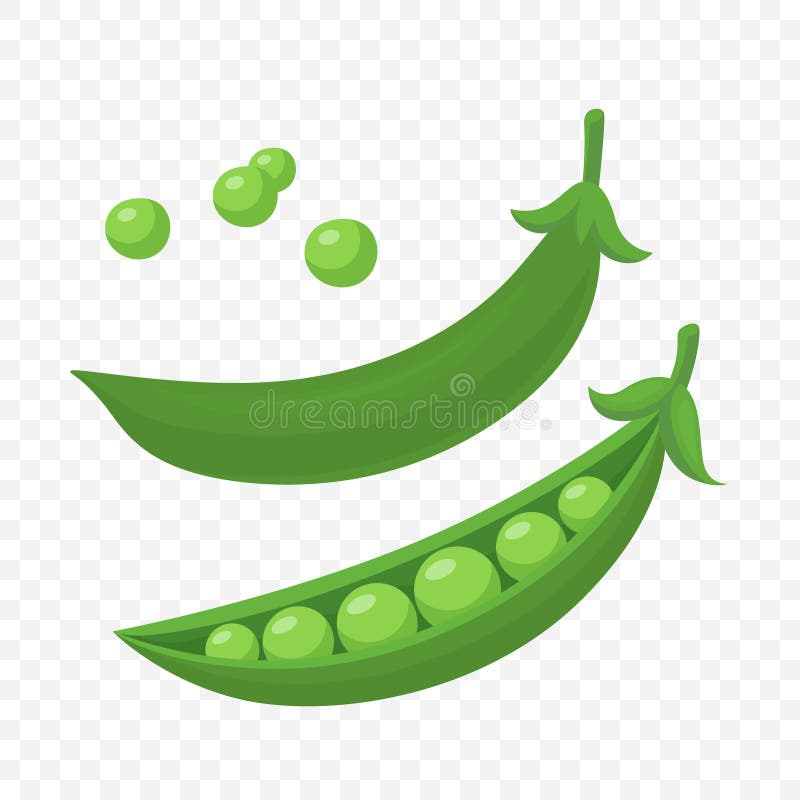 Vector Green Pea Pod. Green Peas Design Template, Cartoon Flat Peas ...