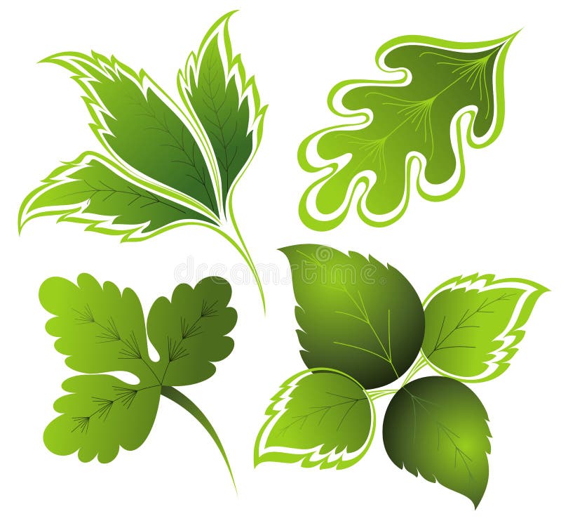Vector green set of leaves stock vector. Illustration of nature - 18713301