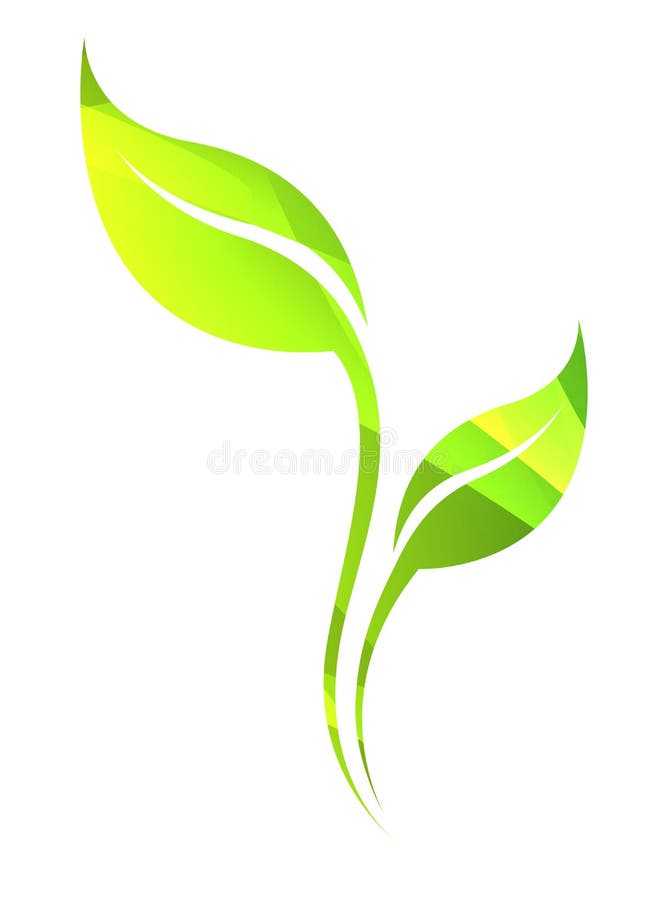 Vector Green Spring Leaf Isolated on White. Color Eco Icon. Stock ...