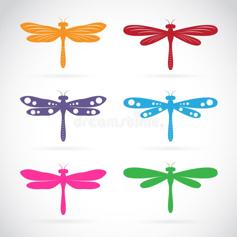 Vector Group Of Colorful Dragonfly Stock Vector - Illustration of blue ...