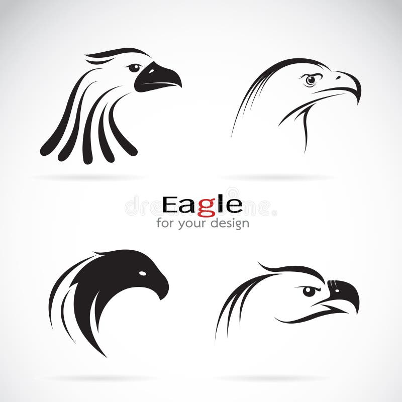 Eagle Head Design Modern Eagle Head Logo Design Clean Stock Vector