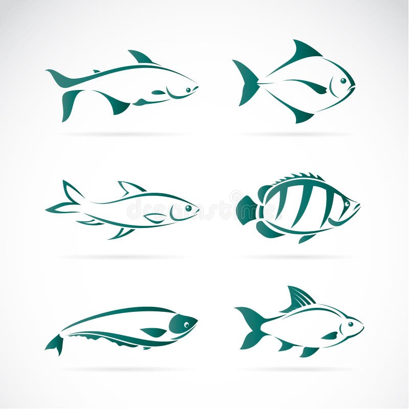 Vector group of fish stock vector. Illustration of isolated - 51100703