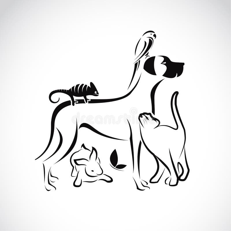 Vector Group of Pets - Dog, Cat, Bird, Reptile, Rabbit, Stock Vector ...