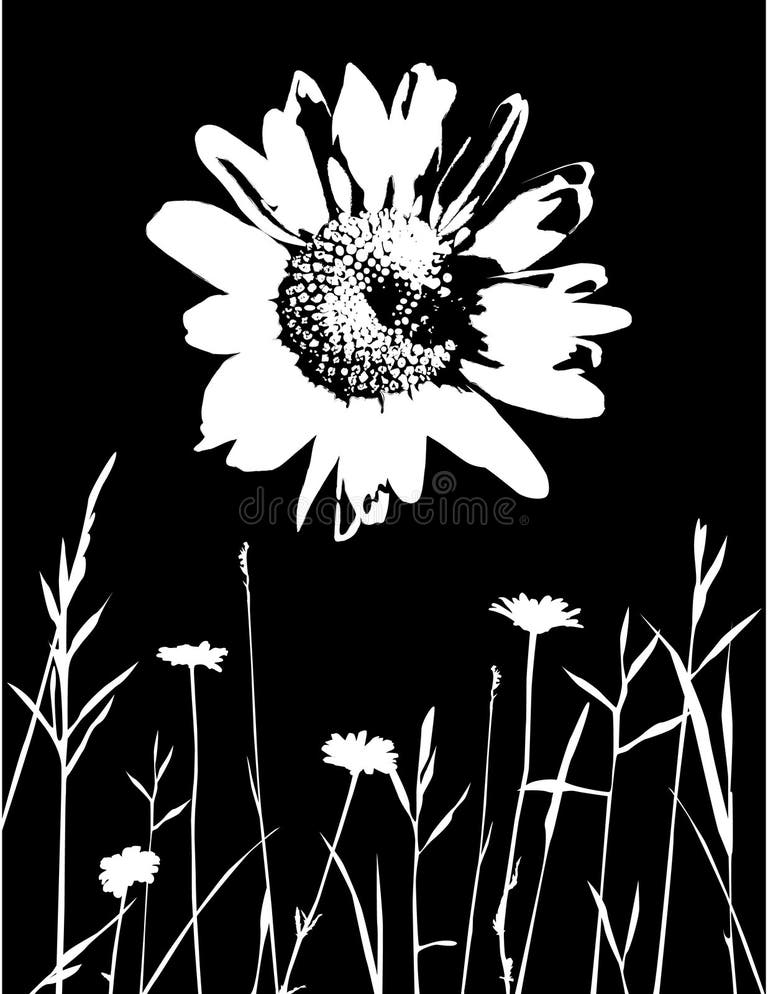 Daisy Contrast Stock Illustrations – 2,927 Daisy Contrast Stock ...
